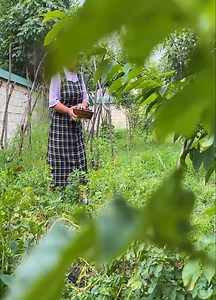113K views · 2.4K reactions | Delicious Recipe of Big Bull Bone Marrow Soup! How to cook Bone Marrow | Village Show | Facebook