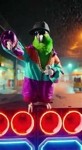 Parrot Rapper on the Beat 🦜🎤
