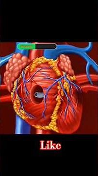 📱 Game: Doctors Game (Hospital Simulation) 🎮 Platform: Android