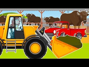 Monkeys Working On Farm: Driving Tractor to Harvest Bison Cow Manure For Fertilizer | Vehicles Farm