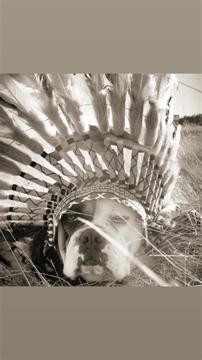 Stacy Holwell on Reels