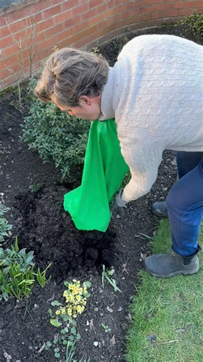 Mulch Quilt on Beds & Borders