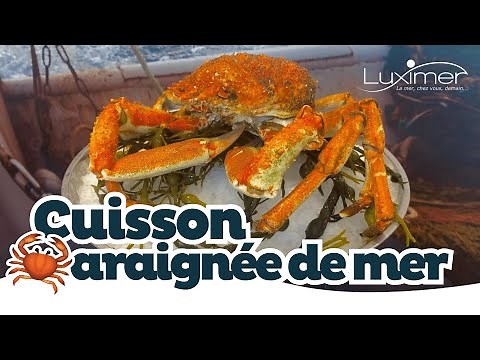 COMMENT CUIRE UNE ARAIGNÉE DE MER ? | Tuto facile by Luximer