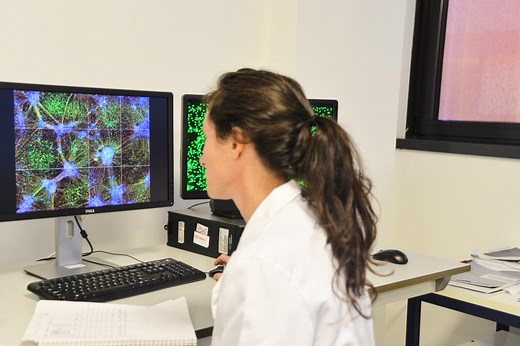 On a 30-year mission to replace animal tests with alternative methods