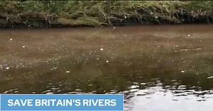 One of UK's worst polluting water firms must reveal volume of sewage it is dumping in rivers