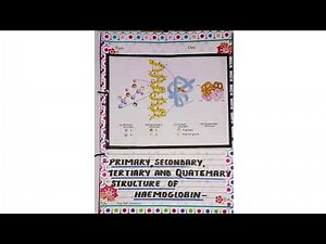 Chemistry project file on PROTEIN