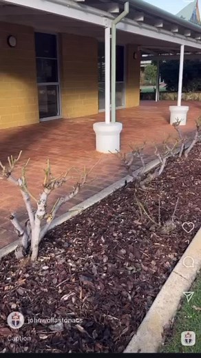 72 reactions · 6 comments | STAFF APPRECIATION | Spring is here and our school grounds are looking spectacular!  Shout out to our amazing JWACS Grounds and Maintenance Team. Thank you for all you do to ensure our facilities and gardens are a safe and thriving environment for our school community.     ️粒 懶❤️ #jwacscommunity | John Wollaston Anglican Community School | Facebook