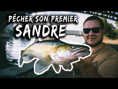 How to easily catch your first ZANDER? 🎣