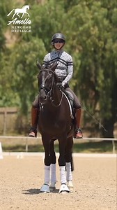 3.8K views · 80 reactions | ⚠️ Having trouble getting your horse to...