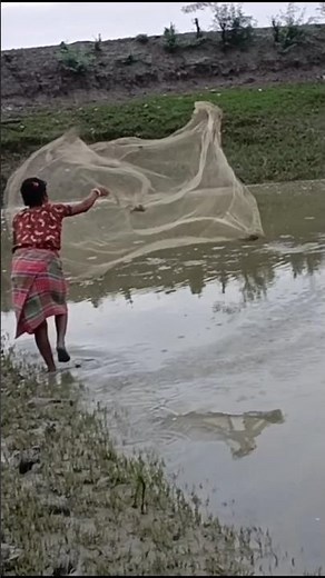 Net Throwing Easy || River Fishing Net || Net Fishing River