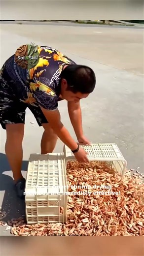 Mastering Dried Shrimp Smart Techniques Revealed!