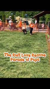 2.7K views · 70 reactions | Here’s the Parade of Ruff Love Rescue Pups at Canine Capers today at Oak Ridge Town Park, NC #ruffloverescue #rescuedismyfavoritebreed #boost | Ruff Love Rescue | Facebook