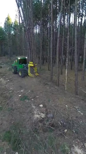 Logger work with Tigercat equipment 🚜🌲🪚🥾 . .​ .​ #woodwork #trees #cafe #history #riverlandlogging #logging #tigercat720 #operadoresdemaquinas #loggingindustry #JohnDeere #forest #harvest #satisfaction #Maquina #jonhdeere #colheita #stihl661 #hilightseveryonefollowers2025 #usa #beautysalon #logginghistory #ThrowbackThursday #pacificnorthwest #lumberjack #vintagephotography | Jazlyn Smith