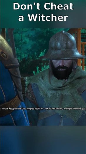 Don't Cheat A Witcher