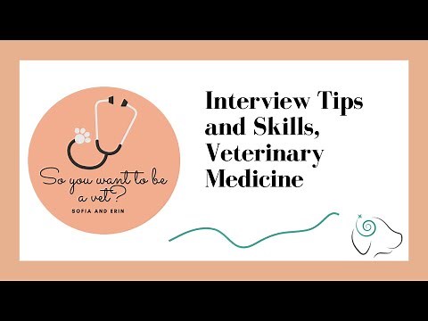 Interview Tips and Skills // Veterinary Medicine
