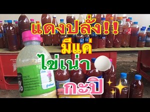 จุลินทรีย์สังเคราะห์แสง(เพาะขยายเชื้อจากไข่เน่ากับกะปิ)แดงปลั่งเป็นเร็ว /แม่ก้อยพาทำ