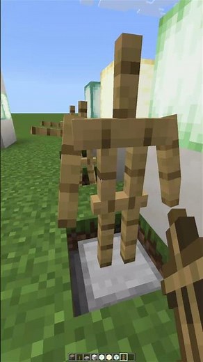 Minecraft Display Cases