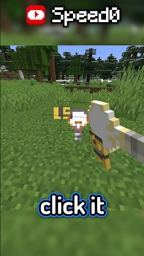 You Can Only Get These Items With Commands!