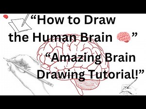 “How to Draw a Human Brain Step by Step | Easy Brain Drawing Tutorial”
