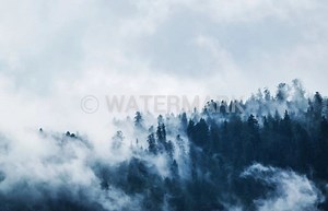 7 Best Ideas on How to Make a Watermark Effectively | Fotor