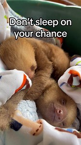 38 reactions | ‼️ ONLY 5 DAYS LEFT! Don't sleep on your chance to...