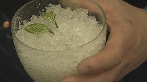 Food plots on the rise amid DNR's deer baiting ban