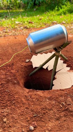 Amazing DIY Parrot Trap Using Paper and Can Catch Birds Easily #DIY #ParrotTrap #Birds