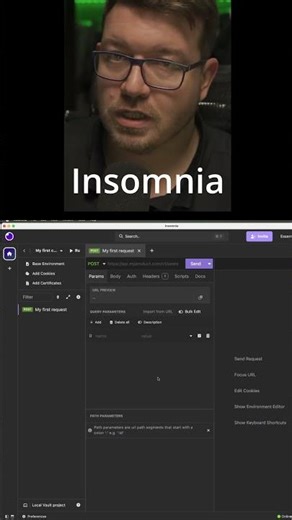 Insomnia - замена Postman #it #coding #programming #программирование