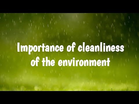 Importance of cleanliness of the environment|| Keeping our environment clean||Essay
