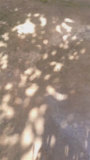 Motorcycle Throttle Control Techniques Explained