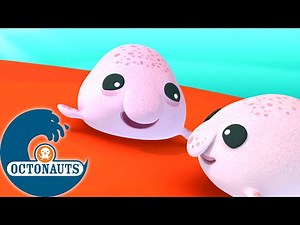 Octonauts - Les frères Blobfish | Dessins animés pour enfants