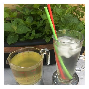 Lime And Mint Cordial easy to make at home - Easy to make at home - The Chef's Gardener