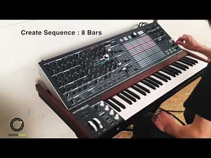 Arturia MatrixBrute #5 | Create Sequence