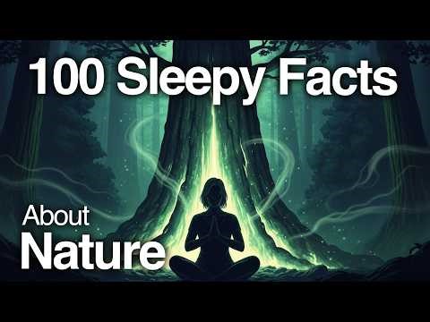 The Most Relaxing Facts About Our Connection to Nature to Fall Asleep To