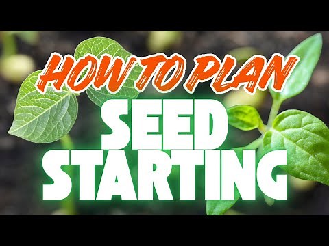 🌱 6 EASY Steps To PLAN SEED STARTING | More Seeds With Less Stress