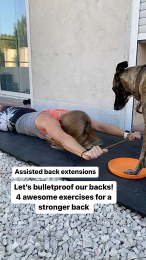 35K views · 97 comments | ⬇️Back Pain and Mobility Work⬇️ Let’s...