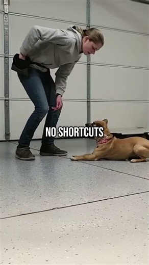 FINAL DAY: Method K9's New Year Sale