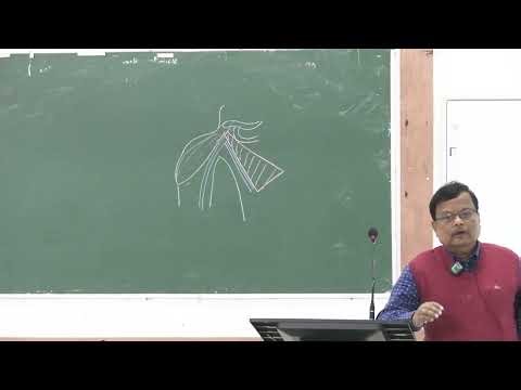 Lecture On Anatomy High-Yield Revision: Axilla, Breast & Lower Limb Essentials | MBBS