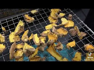 Turmeric drying in dehydrator