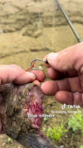 How to rig for catch and release alligator gar fishing 🦖 #fishing #alligatorgar #rivermonstertok #howto #fishinghowto #nature #explore #river #fishingtackle #catchandrelease