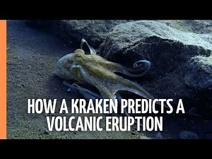 How a Kraken predicts a volcanic eruption in the Mediterranean | Full Documentary