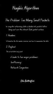 "What is Nagle's Algorithm? | Reduce TCP Delay Explained Simply | Networking Tutorial"
