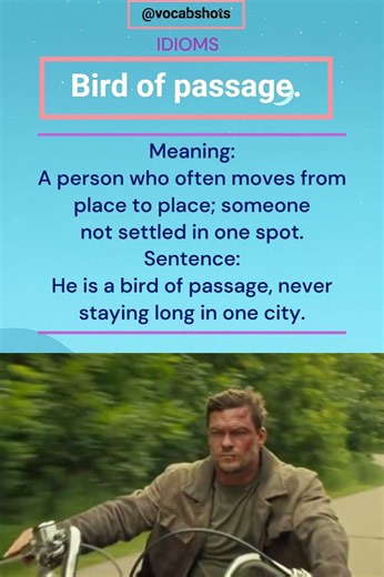 14. Bird of passage #vocabshorts #vocabshots#shorts #ssc #english #competitiveexams#viral#idioms.