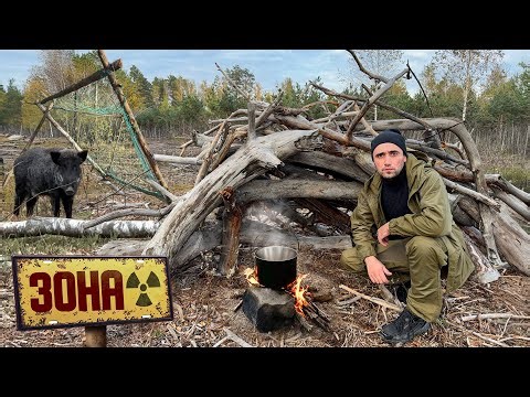 В Чернобыльскую Зону! Ловушка на кабанов. Шок сколько попалось