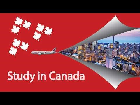 Creative publicity brochure full video #adobeillustrator #graphicdesign #adobephotoshop