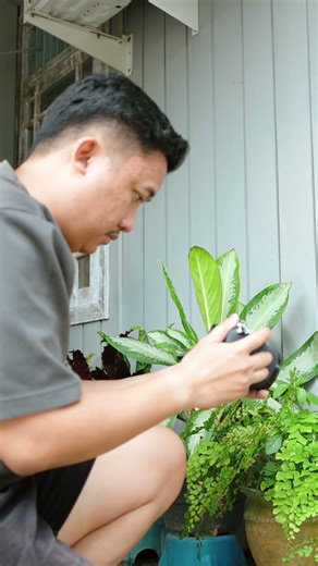 5 Shot That Make Your Video Look Better