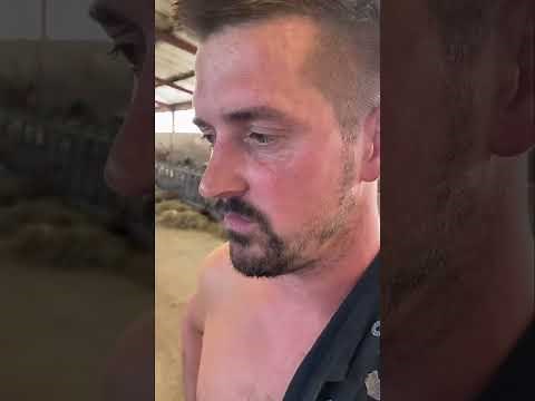 LE MOMENT DE LA REPRODUCTION CHEZ LES CHÈVRES…