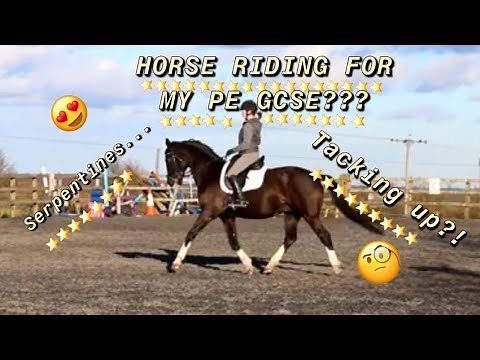 Horse Riding for PE GCSE - Pearson Edexcel