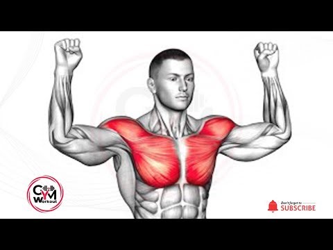 The Best Home Chest Workout 🔥 For Building Pec Muscles