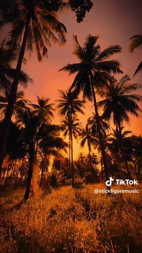 Natural Mystic Stick Figure Tour 2025 🇨🇬🌴